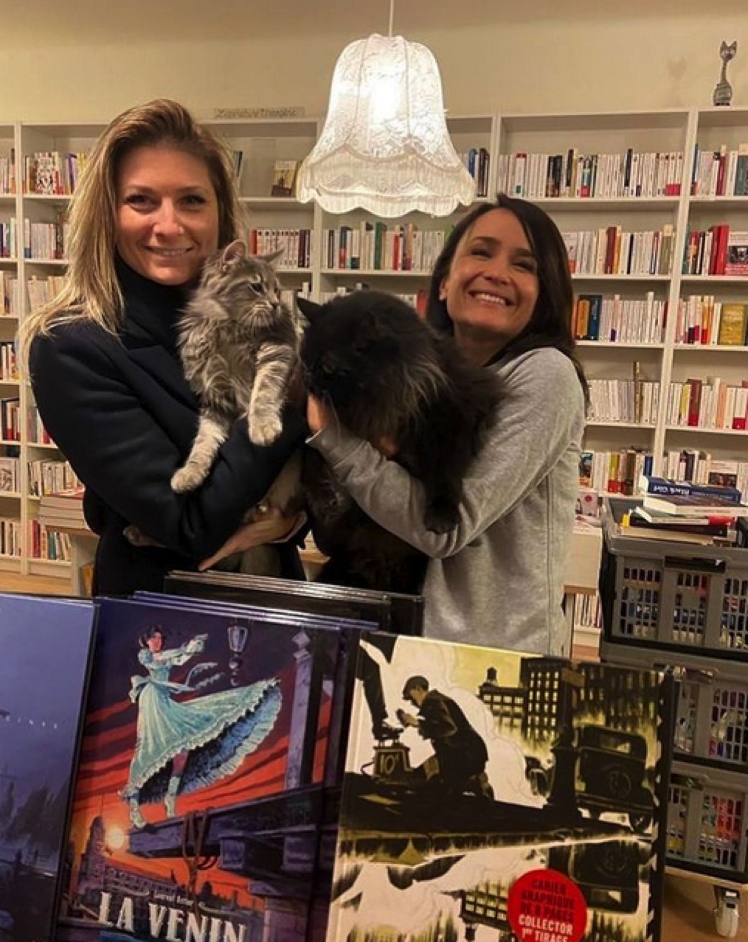 Mon Chat Pitre, la libreria dove si legge insieme ai gatti - News Petme