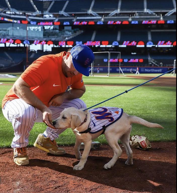 Shea si allena con i New York Mets per diventare un cane d’assistenza ...