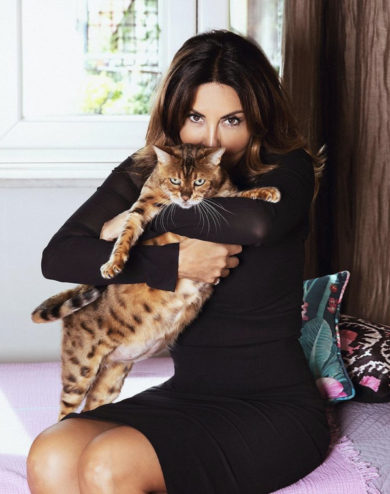 Da Hemingway a Karl Lagerfeld, di chi sono i gatti più famosi del mondo ...