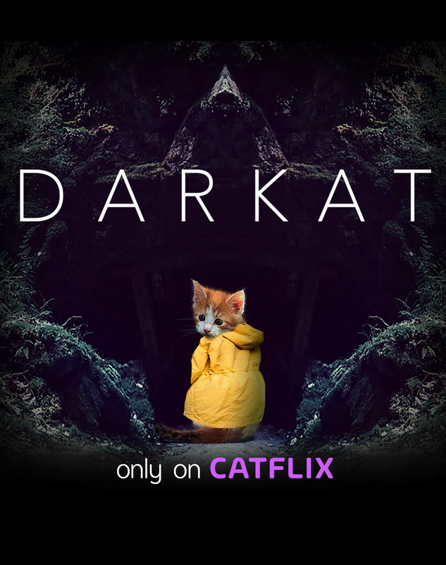 Catflix, come Netflix ma tutta gatti - News Petme