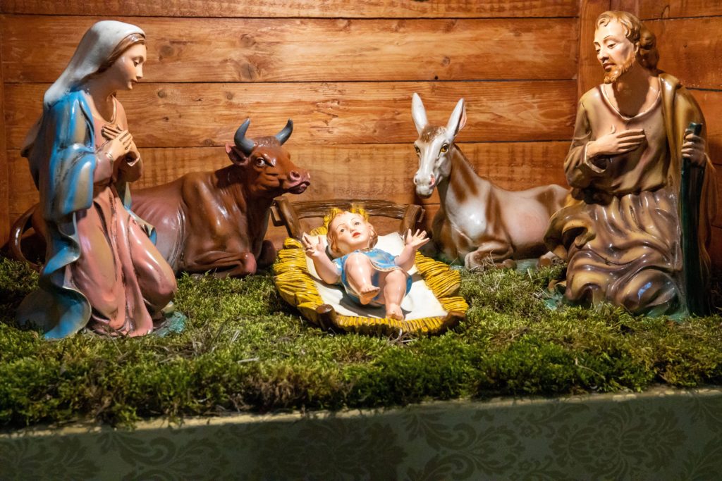 Bue, asinello, pecore e cammelli (o forse dromedari e elefanti). Quali ...