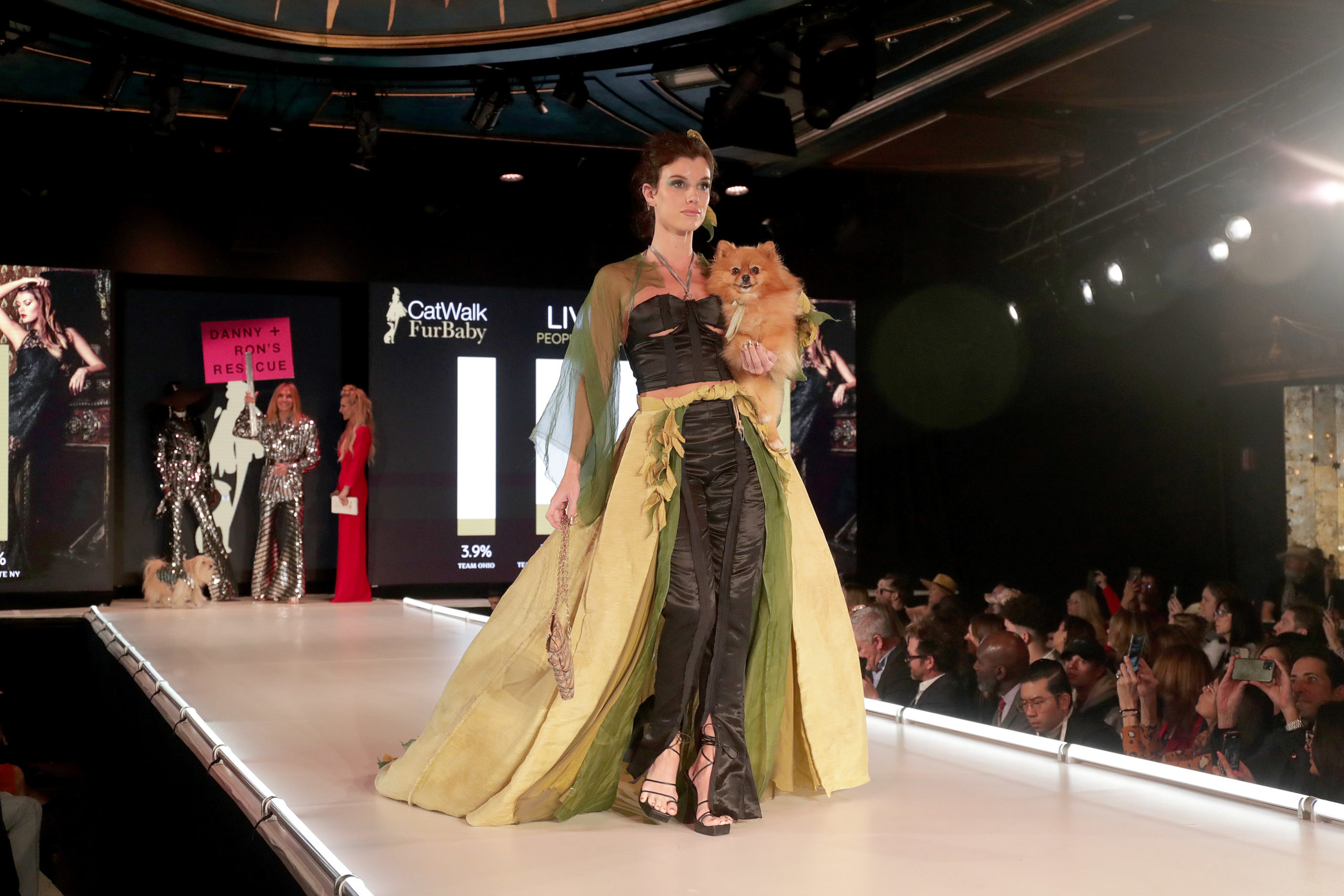 Cani in passerella alla settimana della moda di New York - News Petme