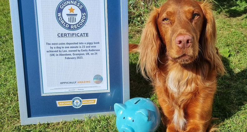 Leo, il cane “risparmiatore" da Guinness dei primati - News Petme