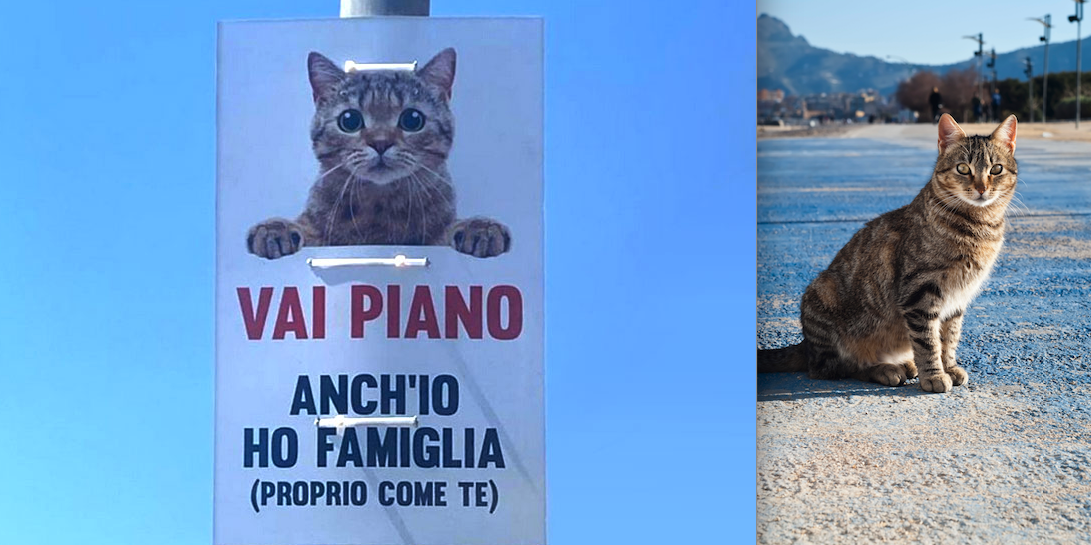 «Vai piano, anche io ho famiglia». A Gallipoli arrivano i cartelli ...