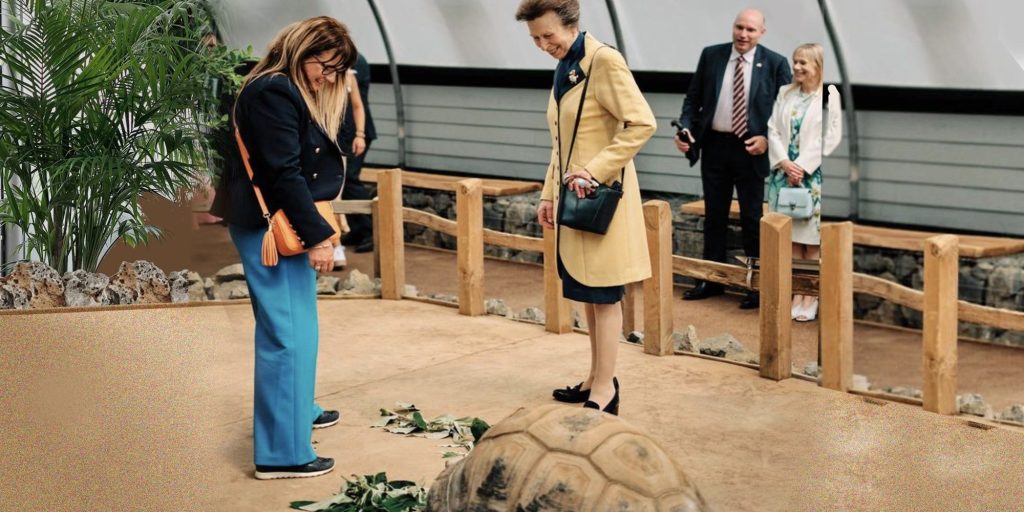La principessa Anna al “Tortoise Takeover”: un viaggio nella ...