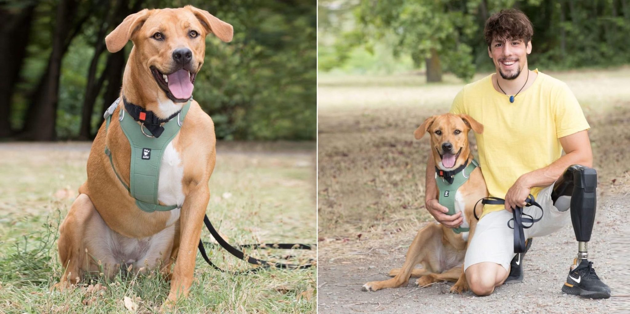 Yuri e Tris: una storia di determinazione e amore incondizionato - News ...