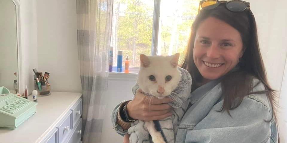 Peter, il gatto dalle mille vite, riappare dopo cinque anni - News Petme Peter, il gatto dalle mille vite, riappare dopo cinque anni - News Petme