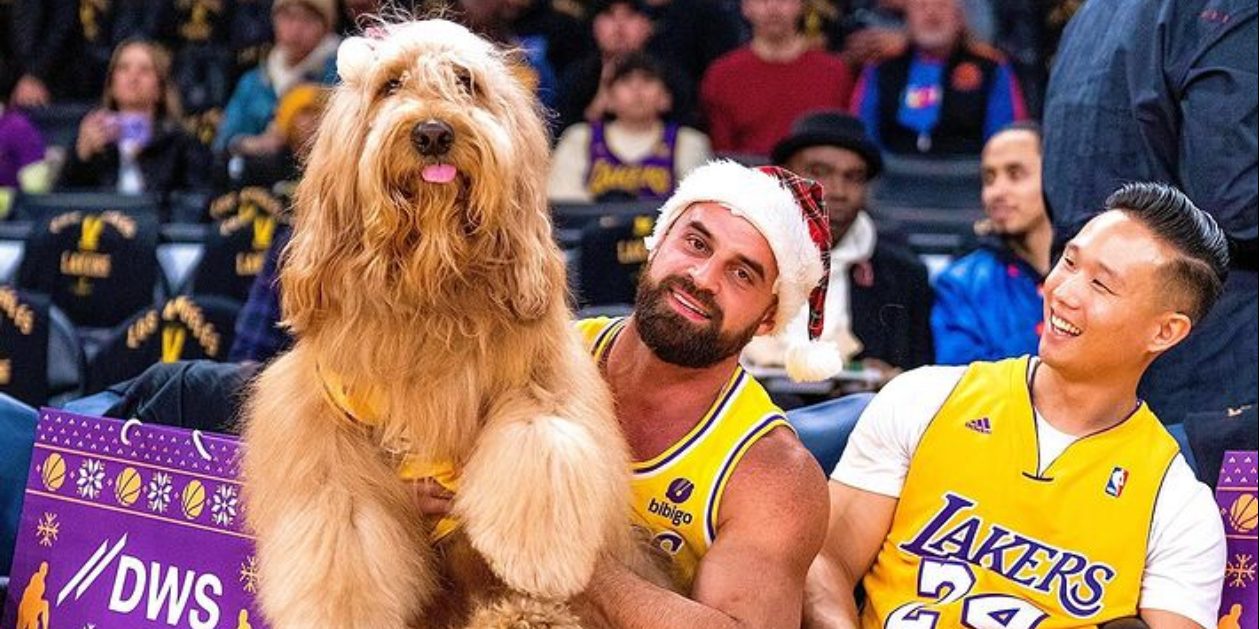 Brodie, il cane appassionato di basket che non si perde una partita dei ...
