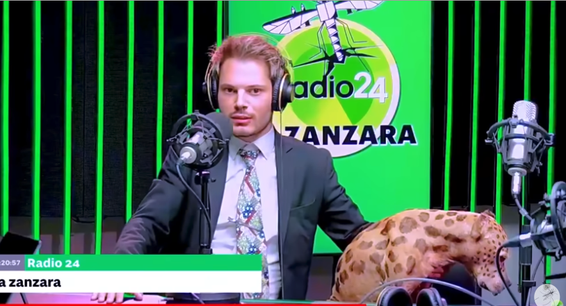 Il "canepardo" e la pericolosa pratica del grooming creativo - News Petme