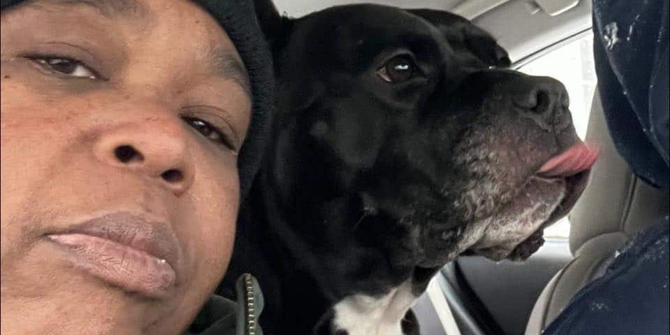 Rocco, il cane “eroe” che ha salvato la proprietaria da un incendio ...