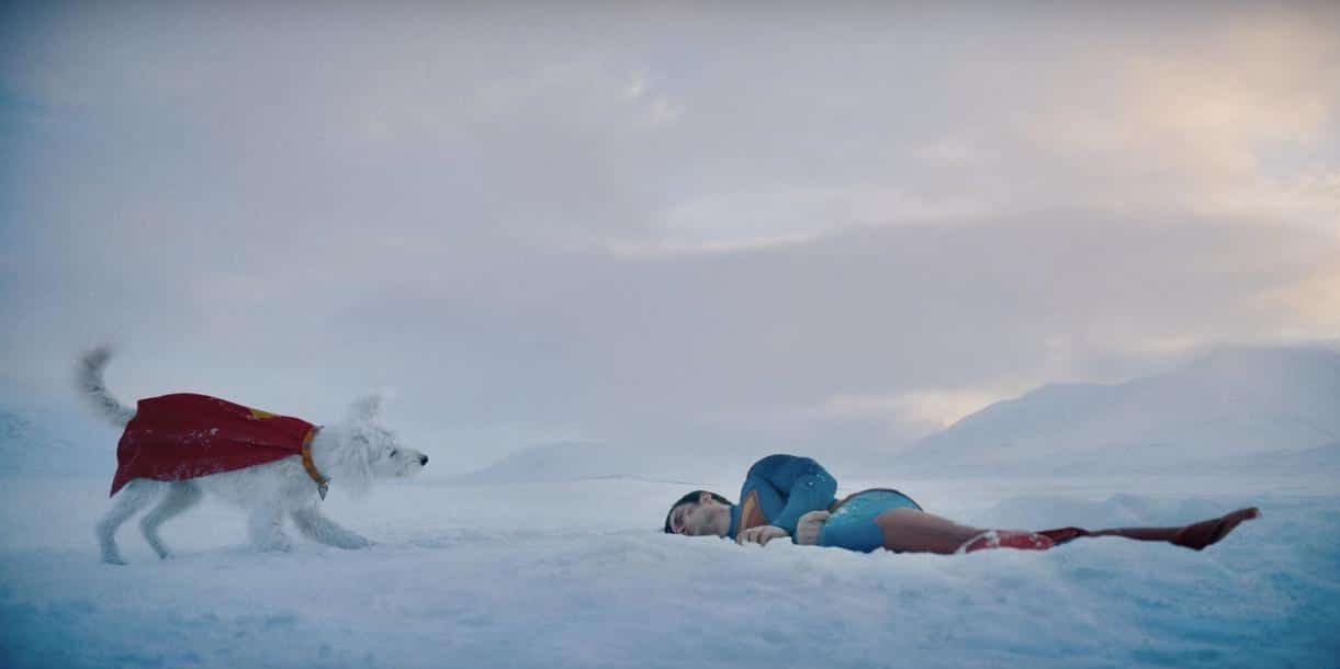 E' il cane Krypto il vero supereroe del nuovo film di Superman! Il ...