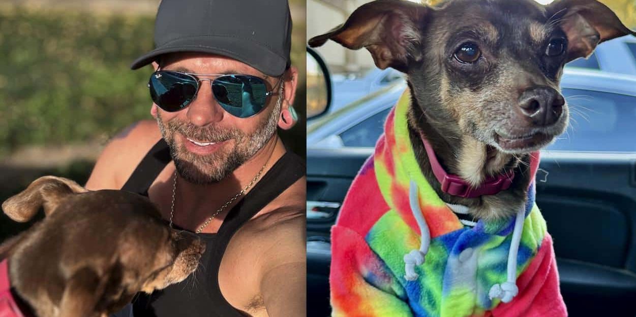 Ritrova a sorpresa il cane dopo 8 anni: la storia di Damian conquista ...